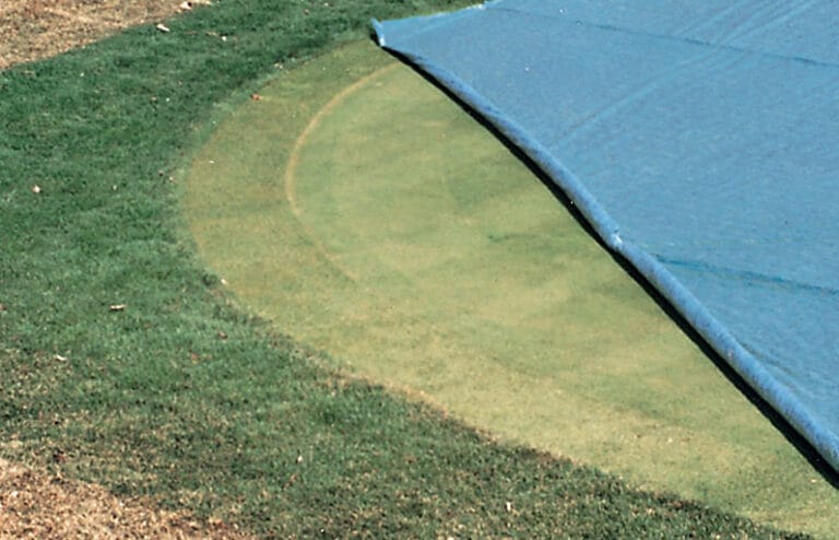Home | Evergreen Turf Covers