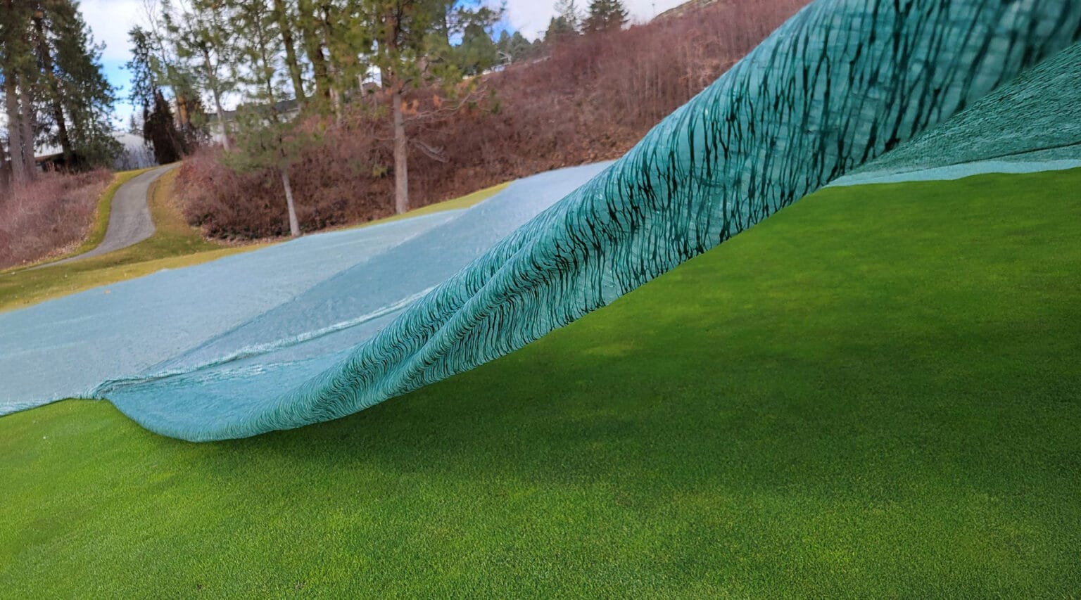 Home | Evergreen Turf Covers