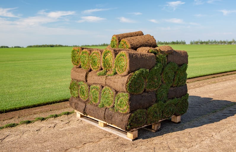 Home | Evergreen Turf Covers