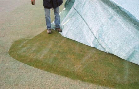 Home | Evergreen Turf Covers