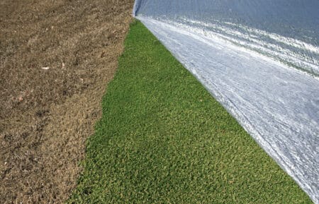 Evergreen Turf Covers - Evergreen Turf Covers