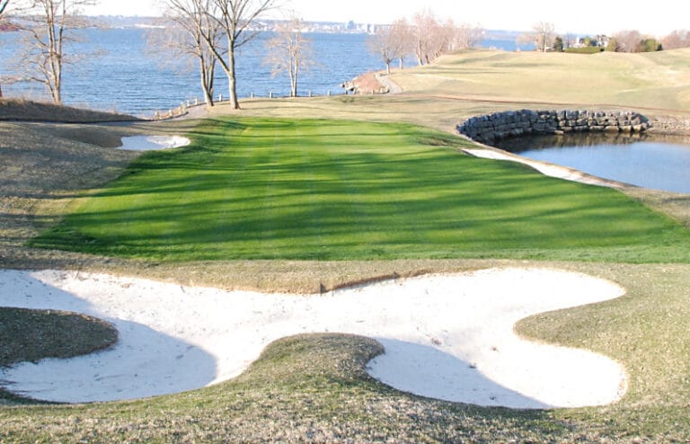 Radiant | Evergreen Turf Covers